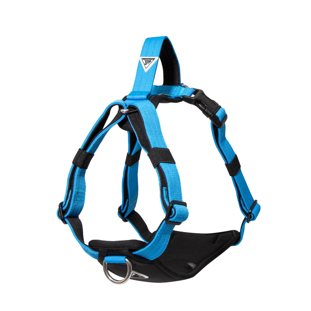 Apex Dogs: The ONLY brand designed for deep chested dogs